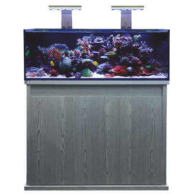 D-D Reef-Pro 1200 Carbon Oak | Aquaristik-Studio Heimrich